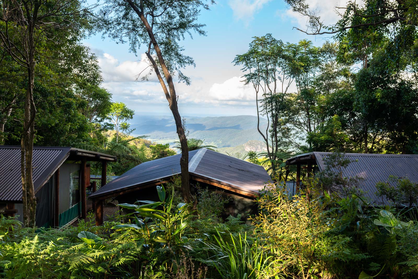 Visit Binna Burra in Lamington NP: A complete guide (2022)