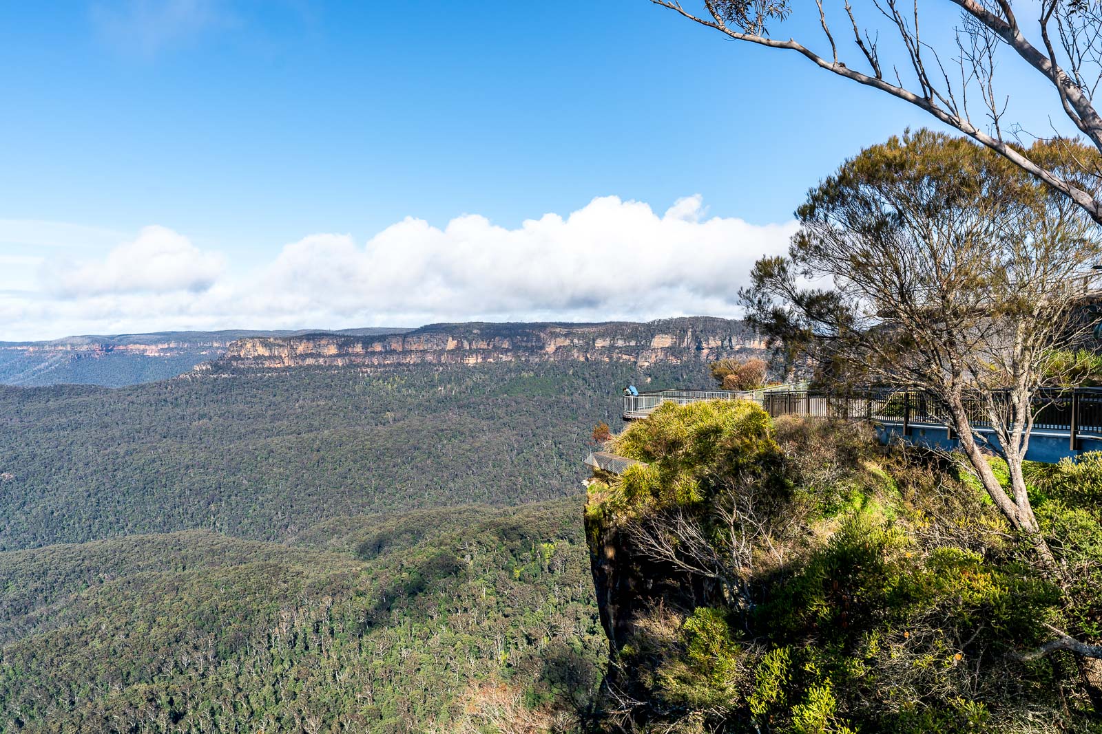 Where to stay in the Blue Mountains in 2024